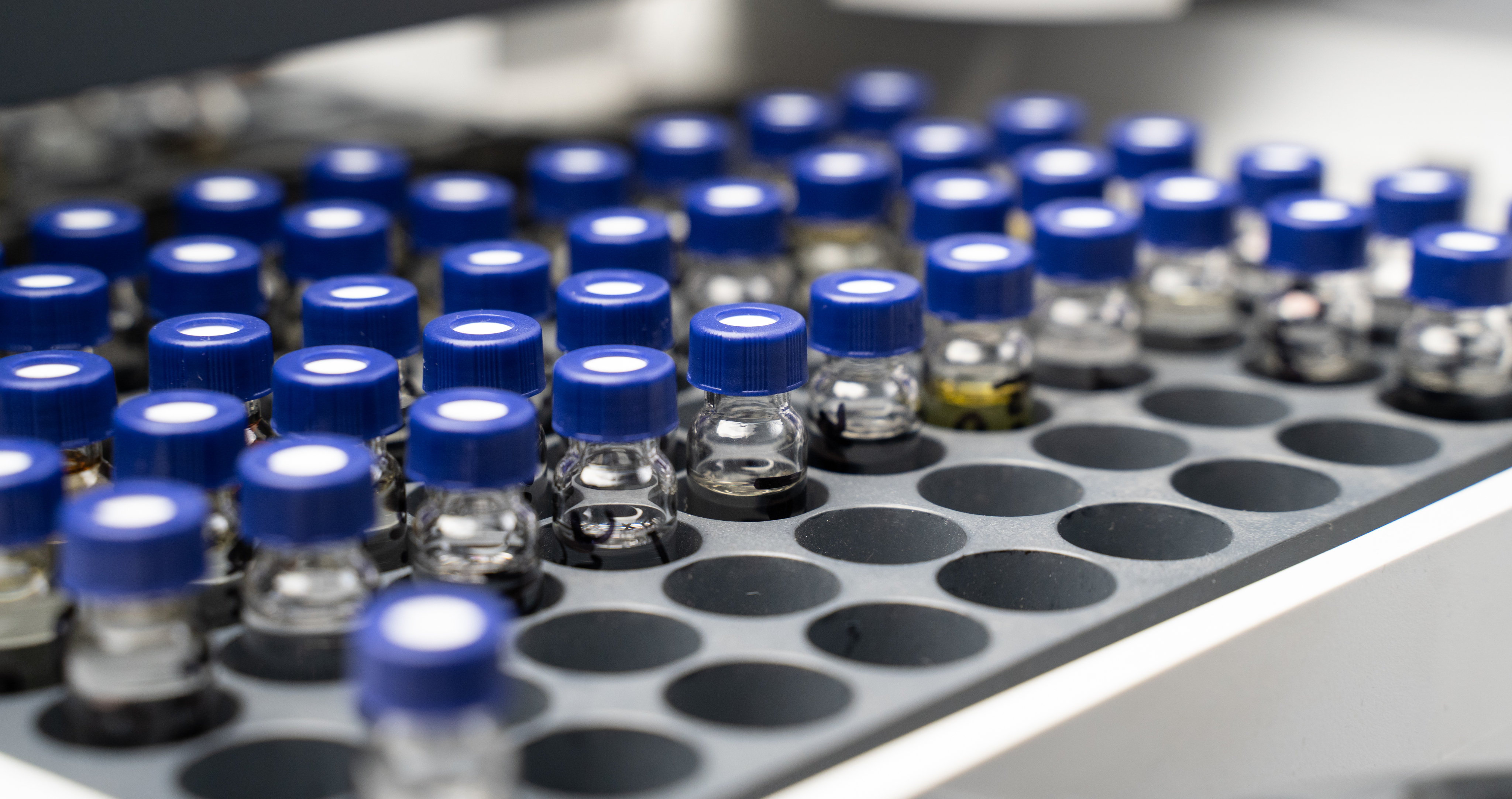 Scent Lab | Perfume Oils South Africa